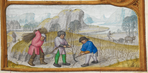 Medieval Monday: The Labors of November – Allison D. Reid